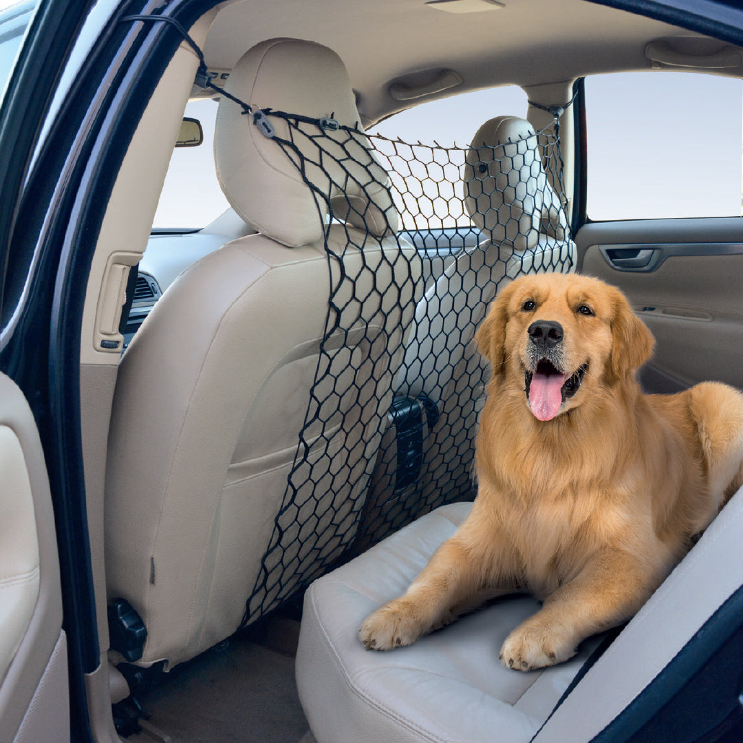 Dog Safety Net – Snazzy Pets