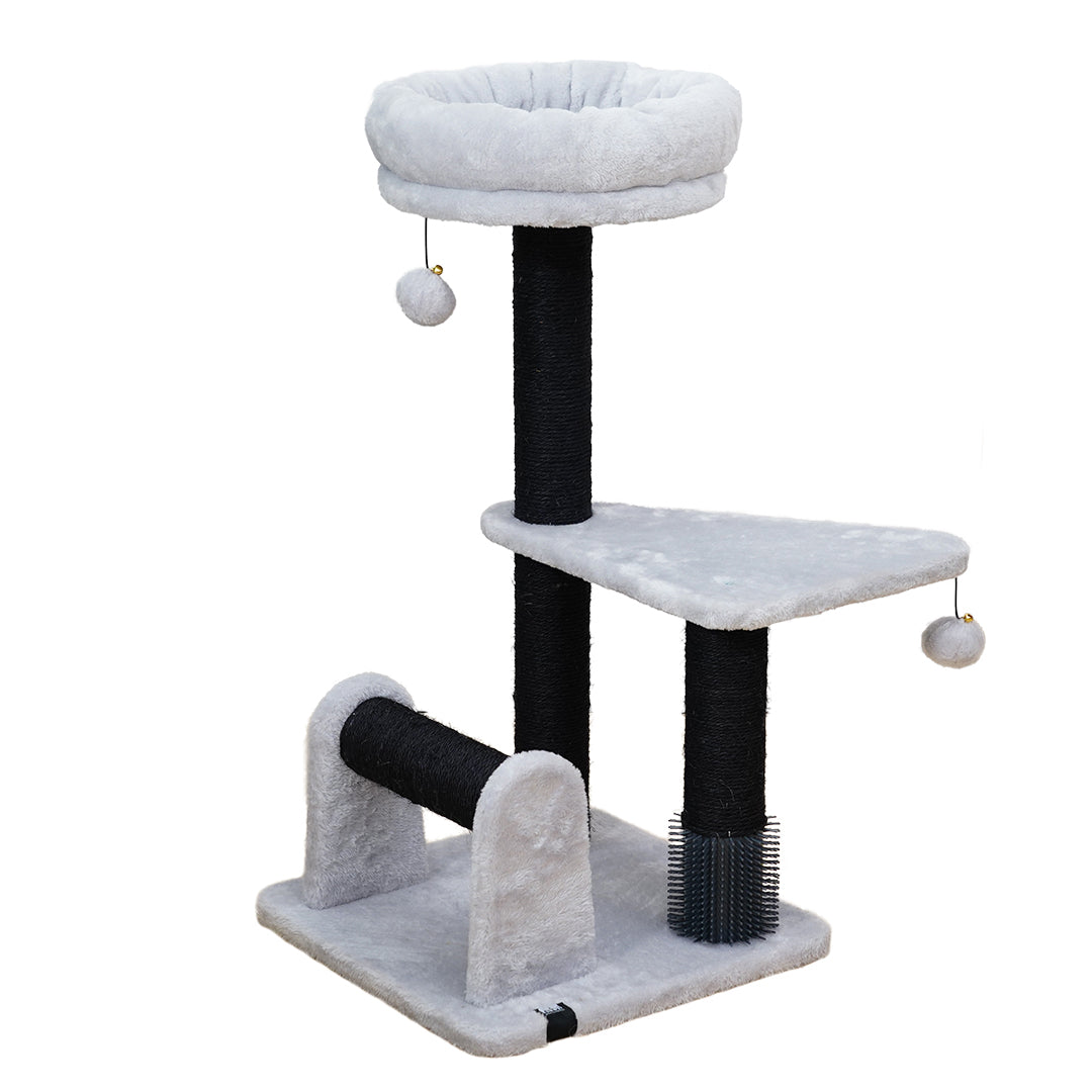 Scratching Tree Florida – Snazzy Pets